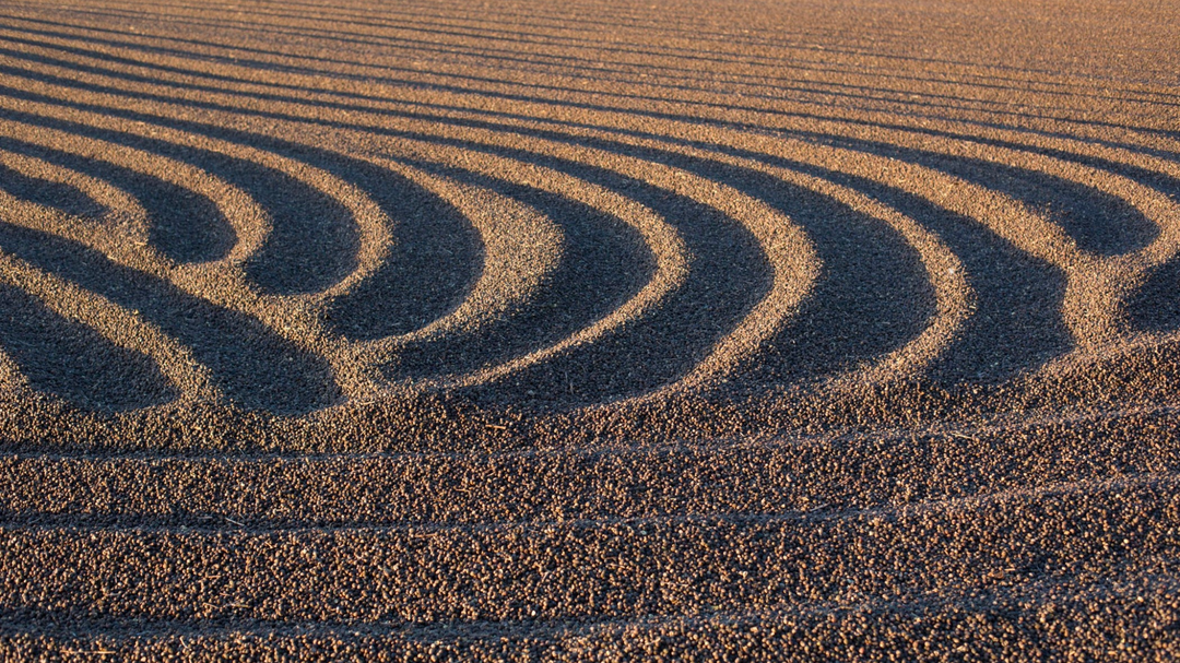 Brazil Barbosa Coffee Origin Trip | Bean Coffee – Liverpool Coffee ...