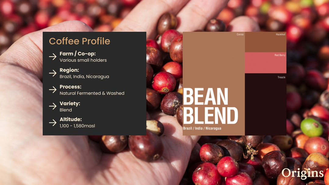 Bean Blend | Make Better Coffee | Bean – Liverpool Coffee Roasters Ltd