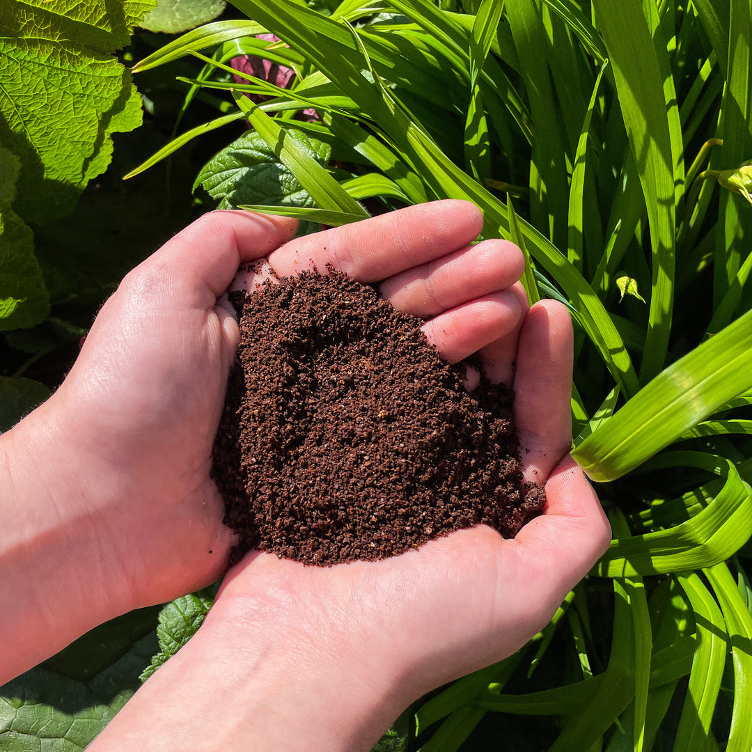 Sustainability | Make Coffee Better | Bean Coffee – Liverpool Coffee ...