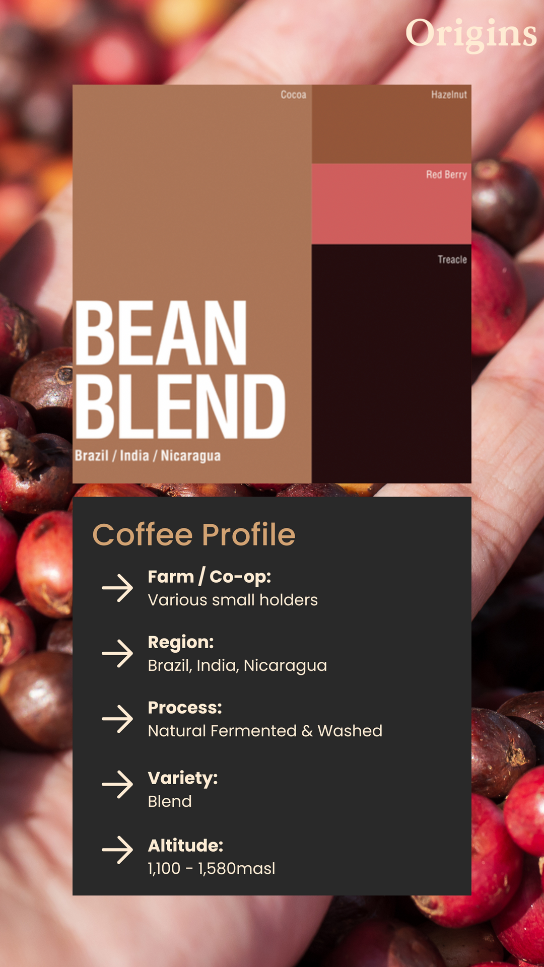 Bean Blend | Make Better Coffee | Bean – Liverpool Coffee Roasters Ltd